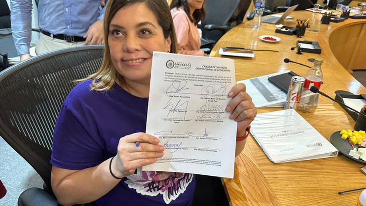 "Ley Matilde” busca sancionar a Fiscalías por omisiones en casos de ...